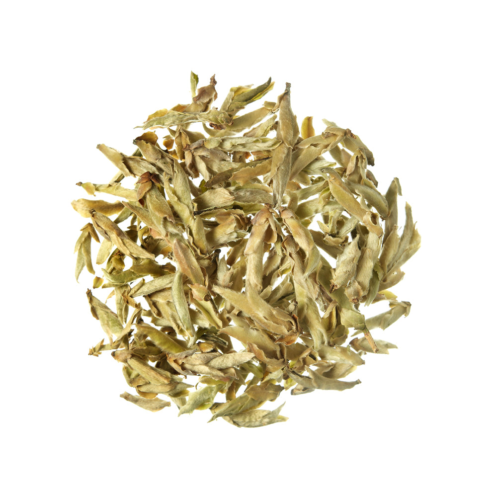 Ya Bao Silver Buds White Tea China